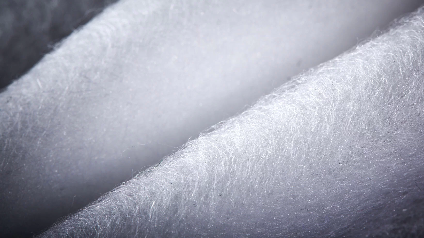 Made to Biodegrade – Regenerative Textile Innovations