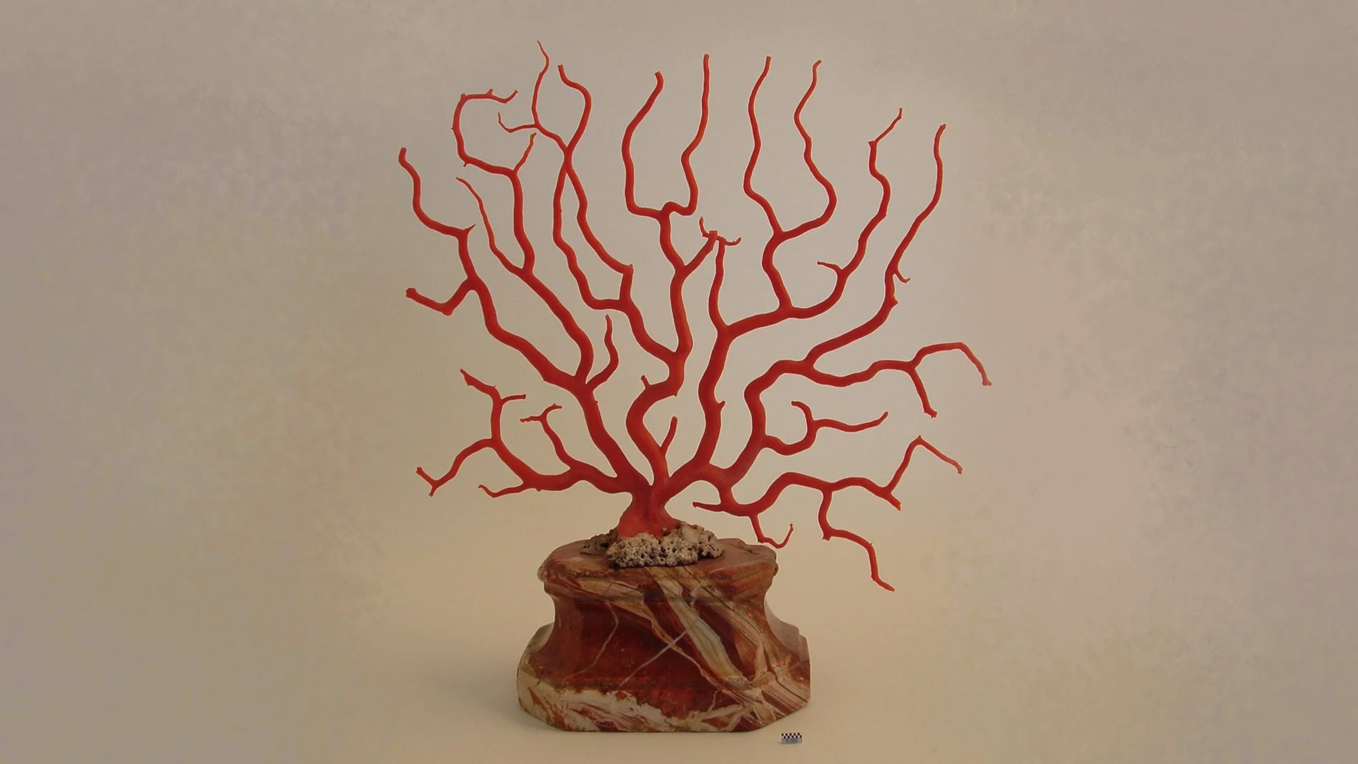 Regenerative Design – More Than Just a Buzzword?