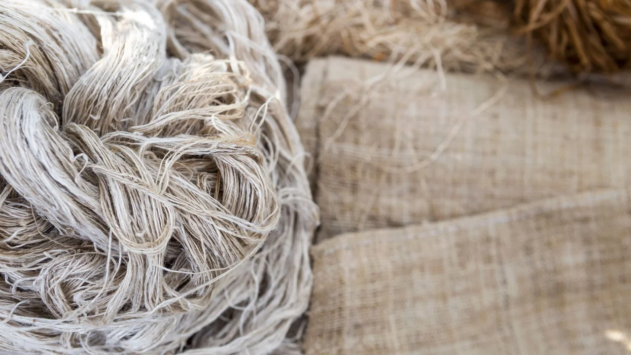 Natural Fibres: 100 Years of Trade and Transformation