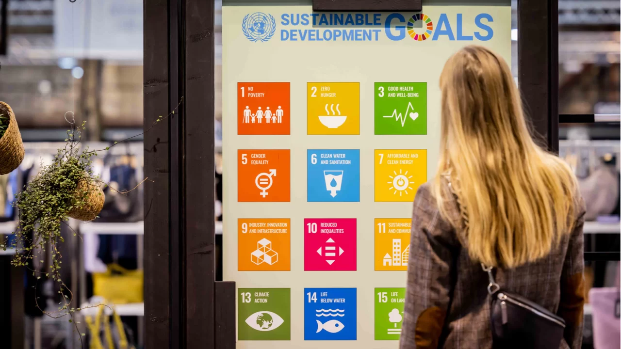 Sustainable Development Goals | Texpertise Network